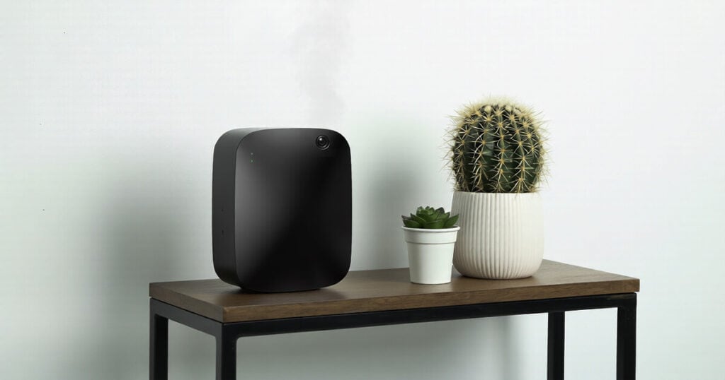 10 Best Waterless Essential Oil Diffusers For Mess-Free Aromatherapy ...