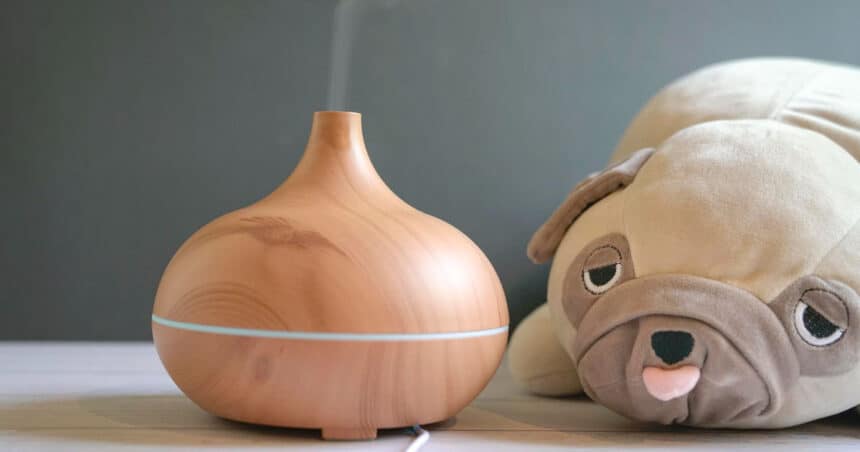 5 Tips For Diffusing Essential Oils At Home With Pets - Best Home Aroma
