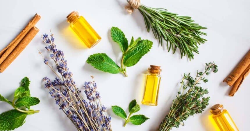 The 5 Best Non-Toxic Home Fragrance: A Guide To All Natural Scents ...