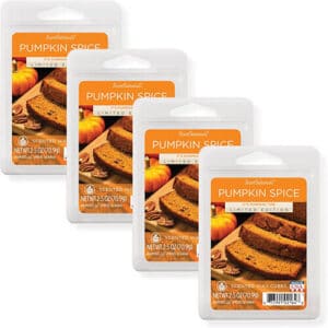 The 5 Best Pumpkin Spice For Home Fragrance - Best Home Aroma