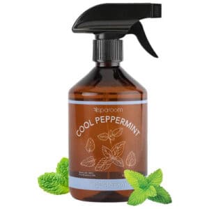 12 Best Natural Home Fragrance Spray For Eliminating Household Odors ...