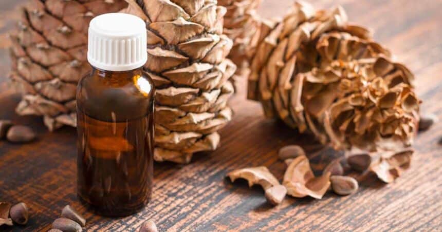 7 Nature-Inspired Essential Oil Scents For A Fresh And Inviting Home ...