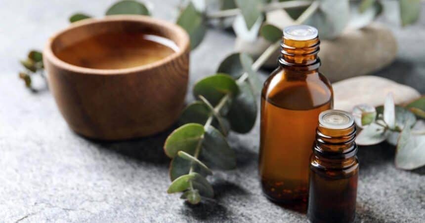7 Nature-Inspired Essential Oil Scents For A Fresh And Inviting Home ...