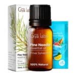 7 Nature-Inspired Essential Oil Scents For A Fresh And Inviting Home ...