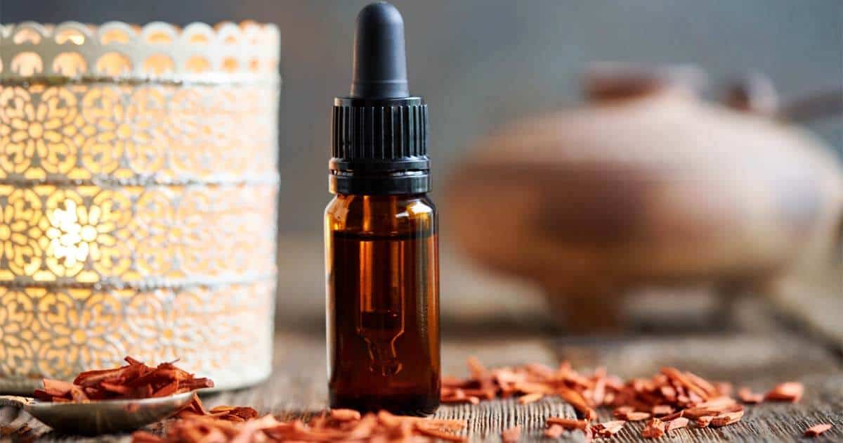 7 Nature-Inspired Essential Oil Scents For A Fresh And Inviting Home ...
