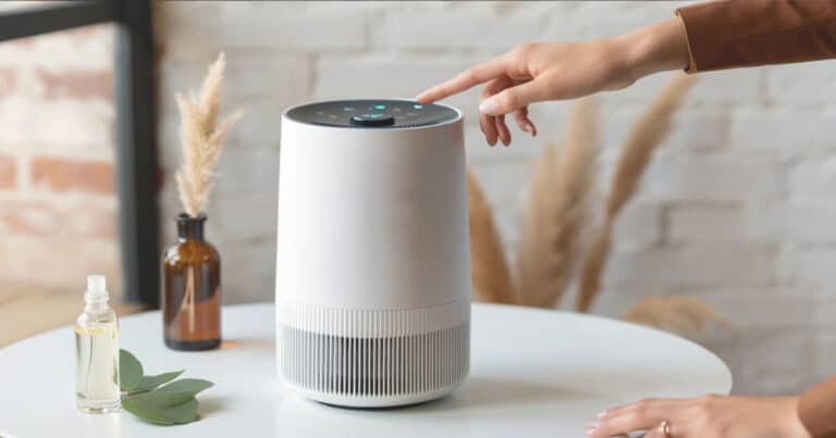 10 Best Essential Oils For Air Purifiers: Enhance Air Quality Naturally ...