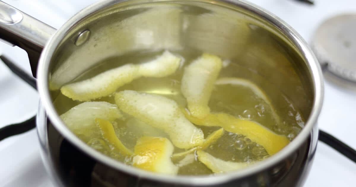 15 Best Effective Methods On How To Remove Mildew Smell In Your Home ...