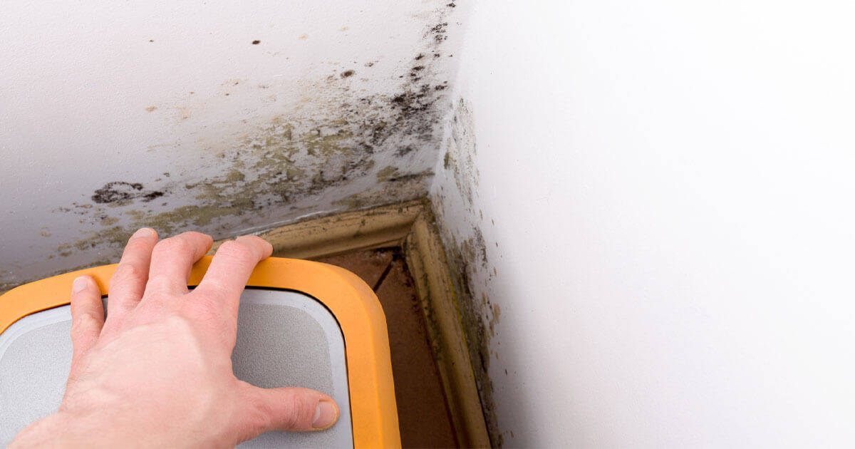 15 Best Effective Methods On How To Remove Mildew Smell In Your Home ...