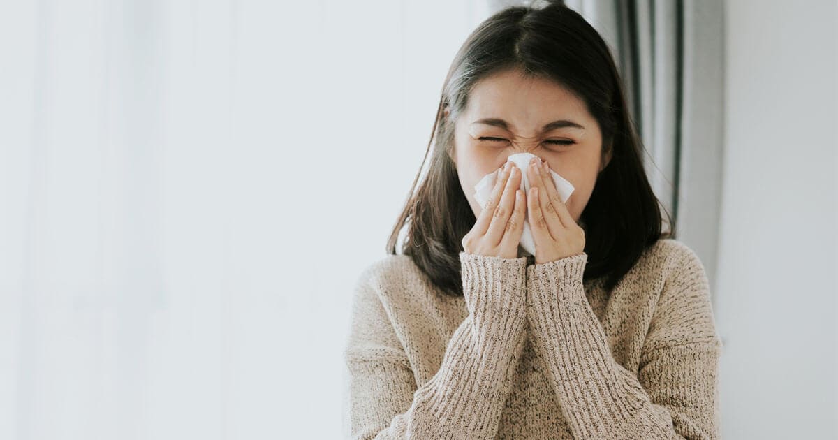 15 Best Effective Methods On How To Remove Mildew Smell In Your Home ...
