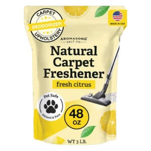 14 Best Carpet Deodorizer Powders: Expert-Recommended For Pet Odors ...